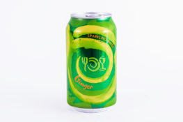 The Ultimate Wegmans Sparkling Water Review – Daughter of Seitan