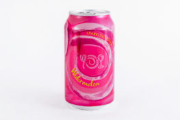 The Ultimate Wegmans Sparkling Water Review – Daughter of Seitan